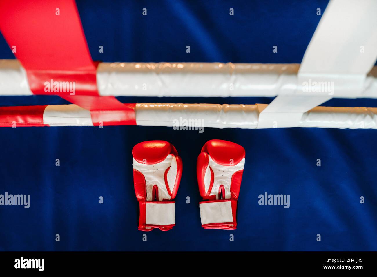 Close-up of red boxing gloves on the floor of a blue boxing ring Stock ...