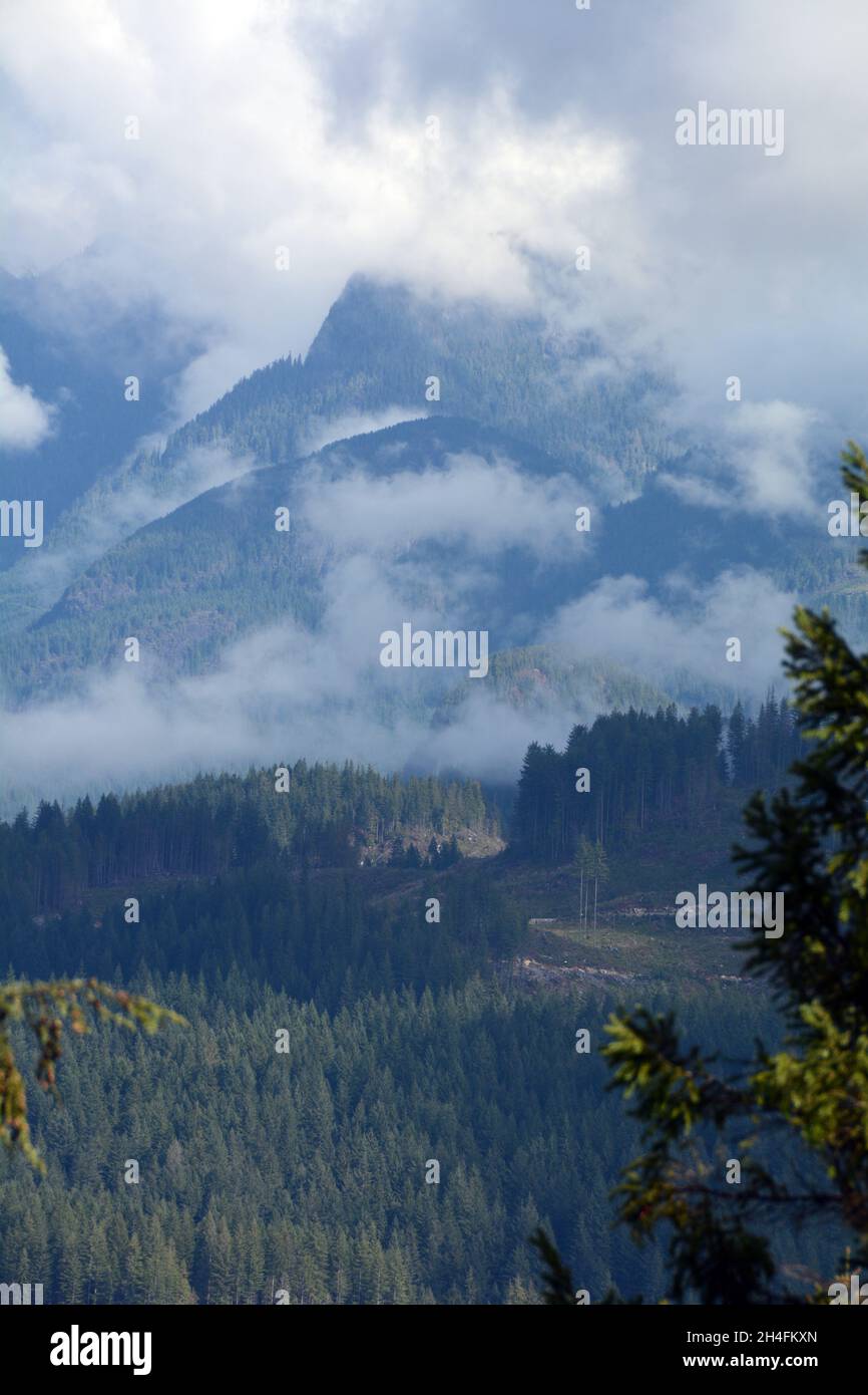Logging river hi-res stock photography and images - Alamy