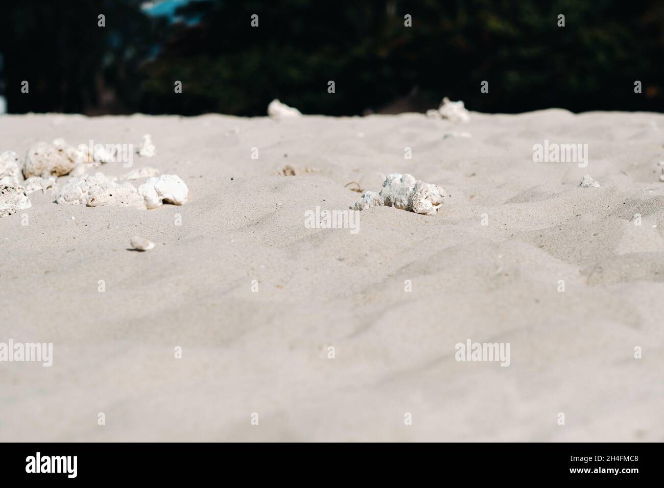 Tropical Paradise, white sandy beach with white small stones, Mauritius ...