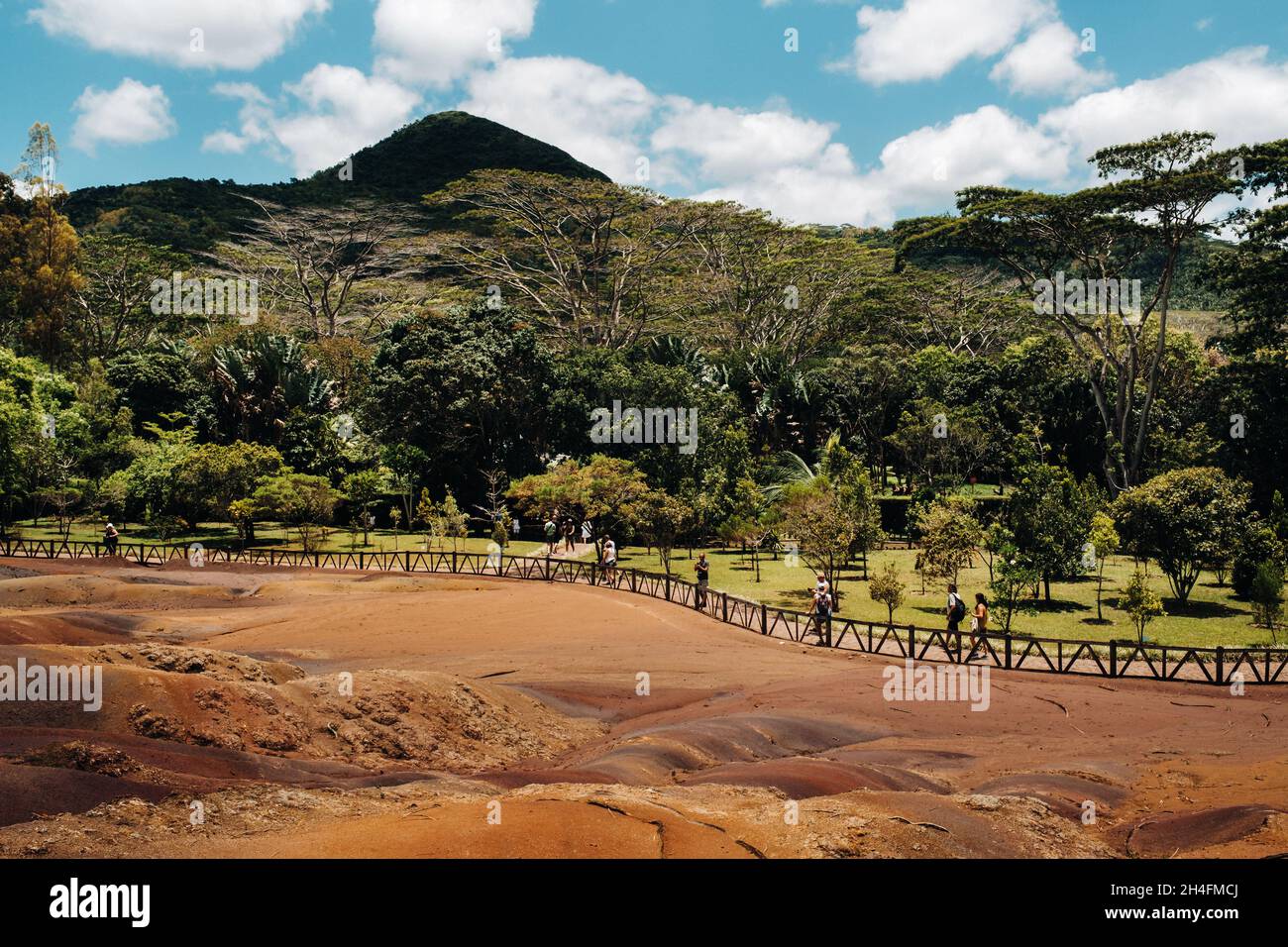 Seven colored earths in Mauritius, nature reserve, Chamarel. The green ...