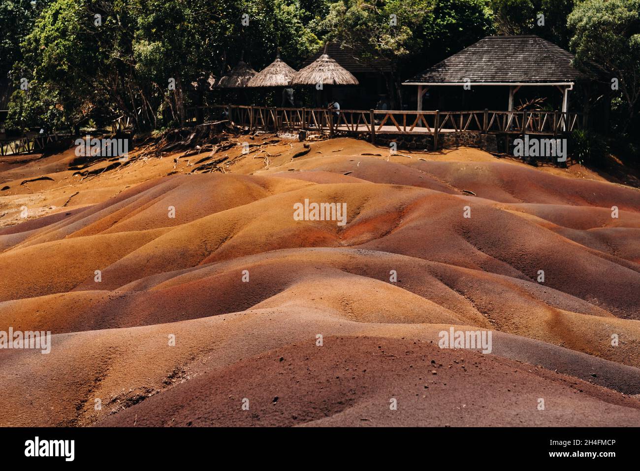 Seven colored earths in Mauritius, nature reserve, Chamarel. The green ...