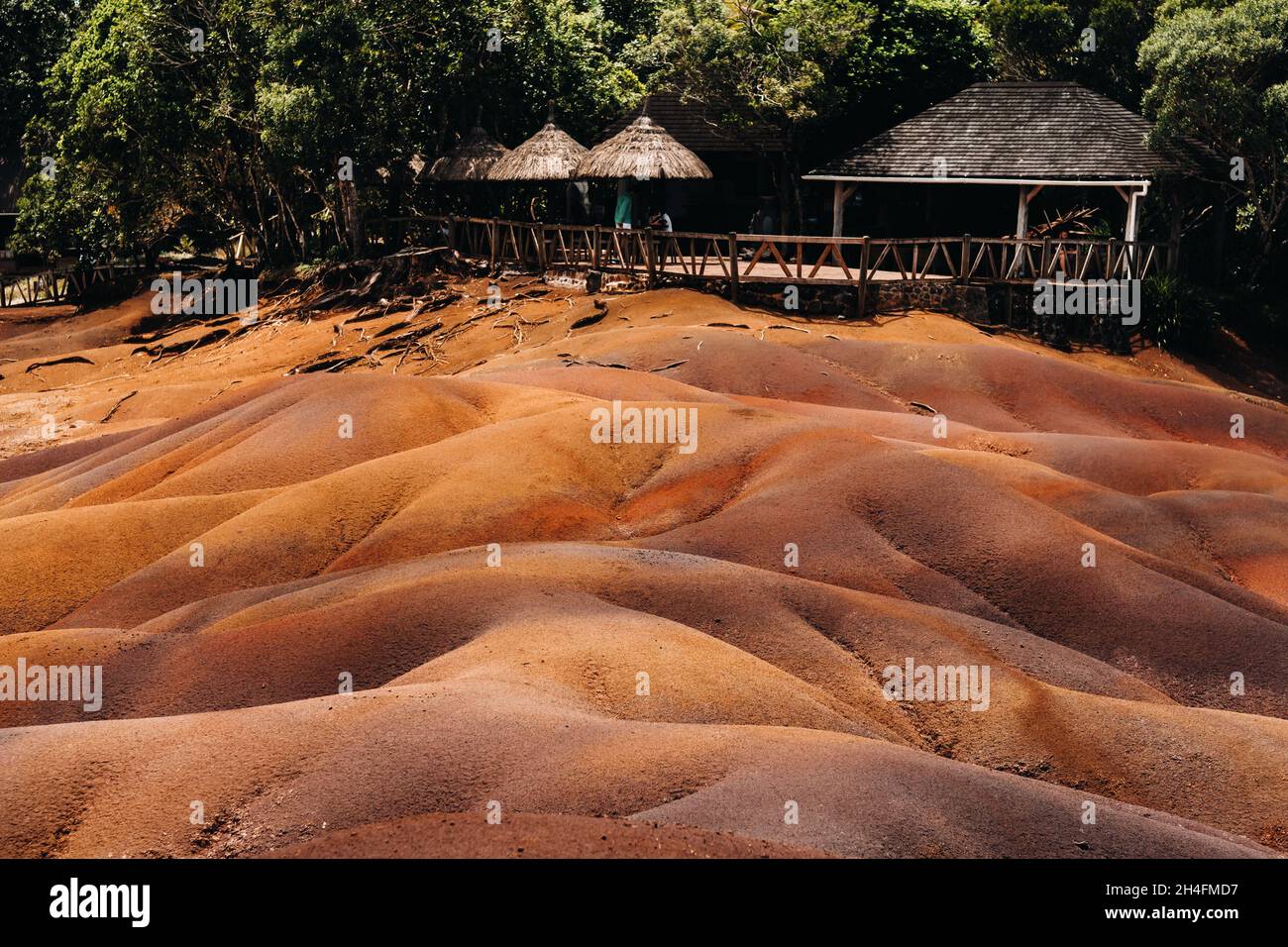 Seven colored earths in Mauritius, nature reserve, Chamarel. The green ...