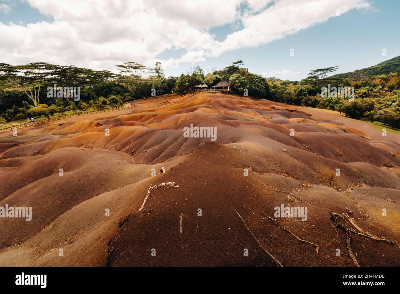 Seven colored earths in Mauritius, nature reserve, Chamarel. The green ...