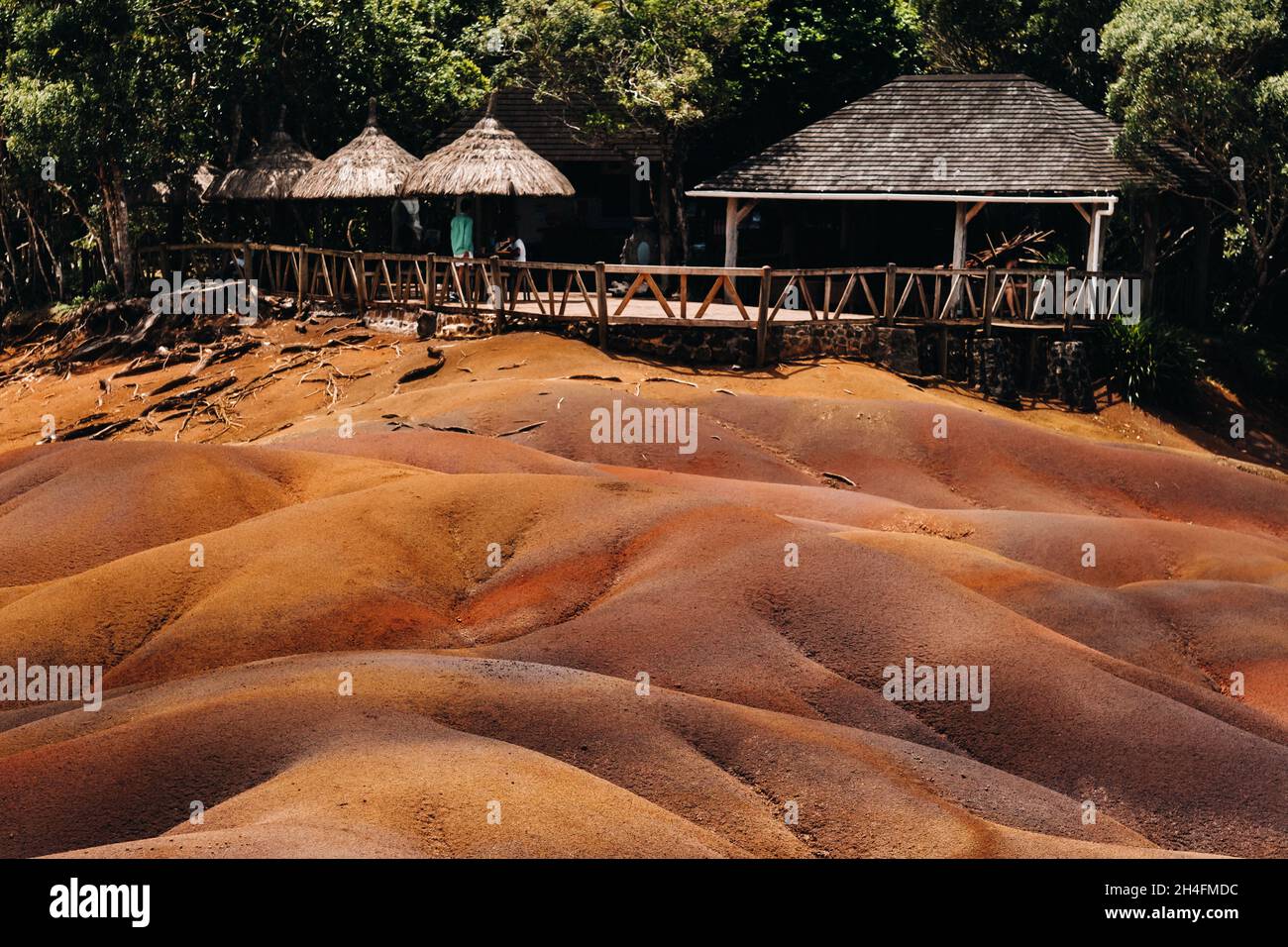 Seven colored earths in Mauritius, nature reserve, Chamarel. The green ...