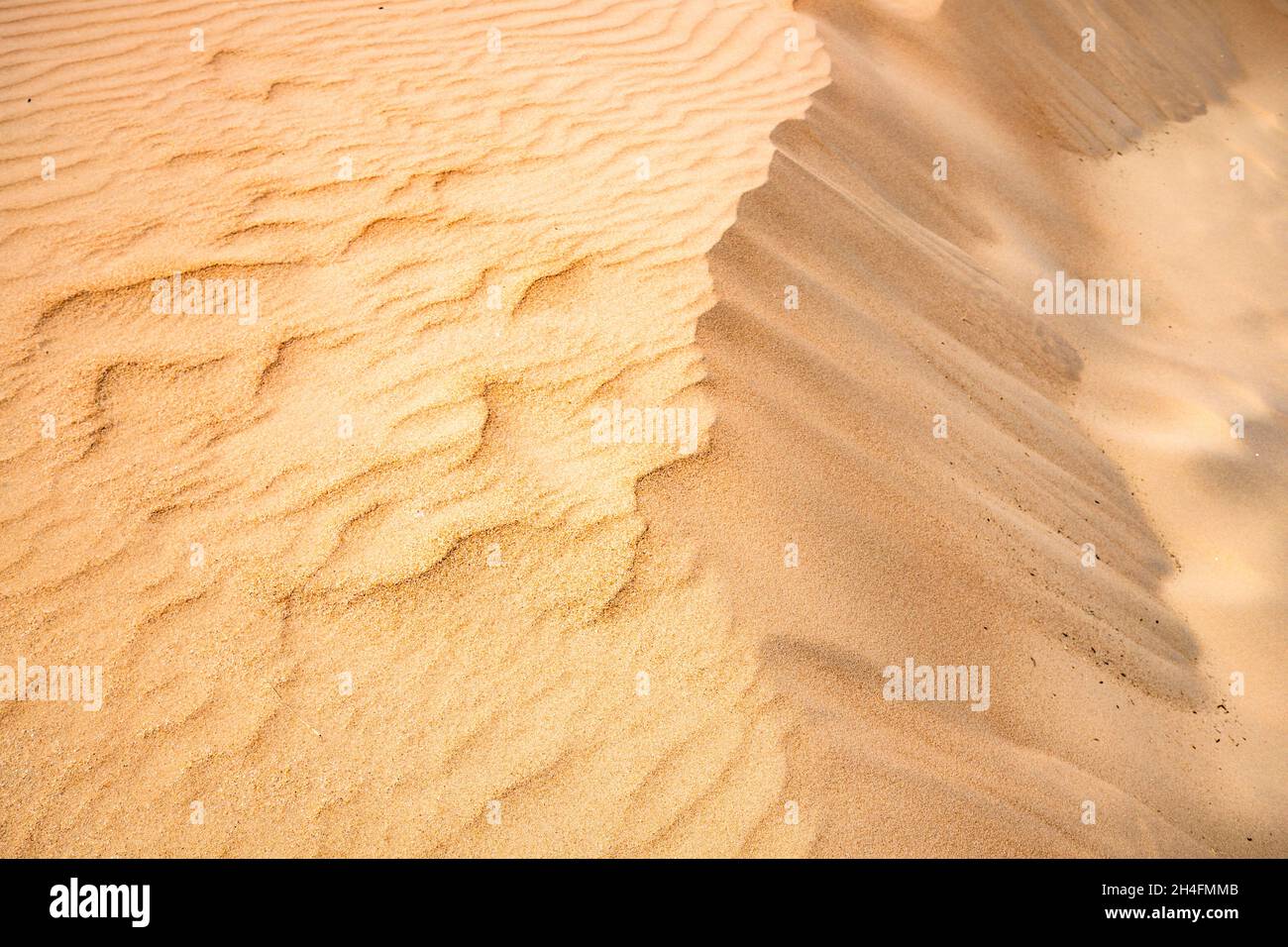 yellow desert sand texture with small dune formed by air Stock Photo ...