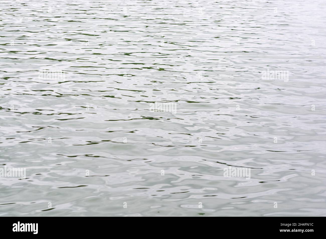 The water surface of the river is covered with small waves that shine ...