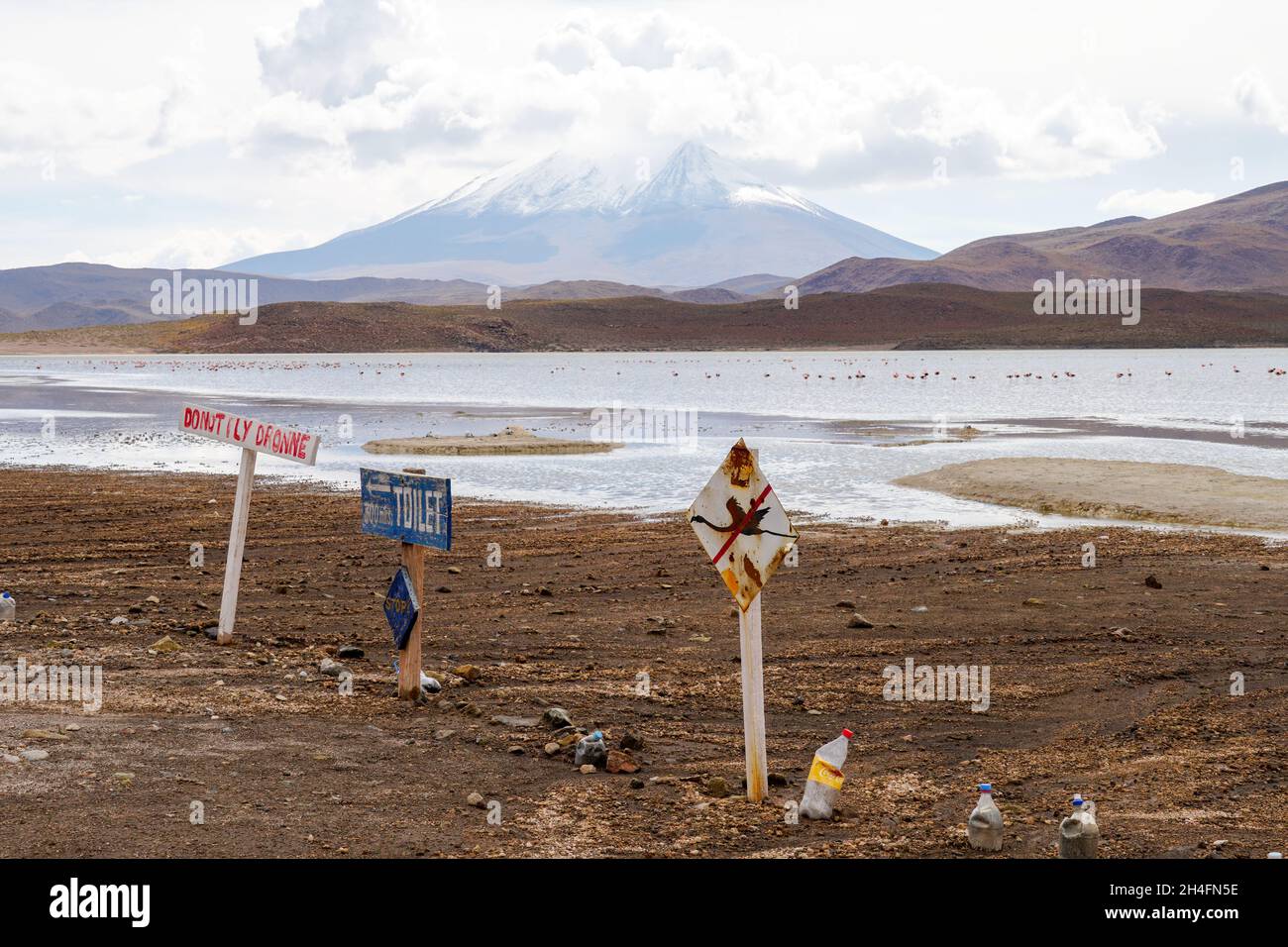 Signs in front of Lake with flamingos and snow-topped volcano in the ...