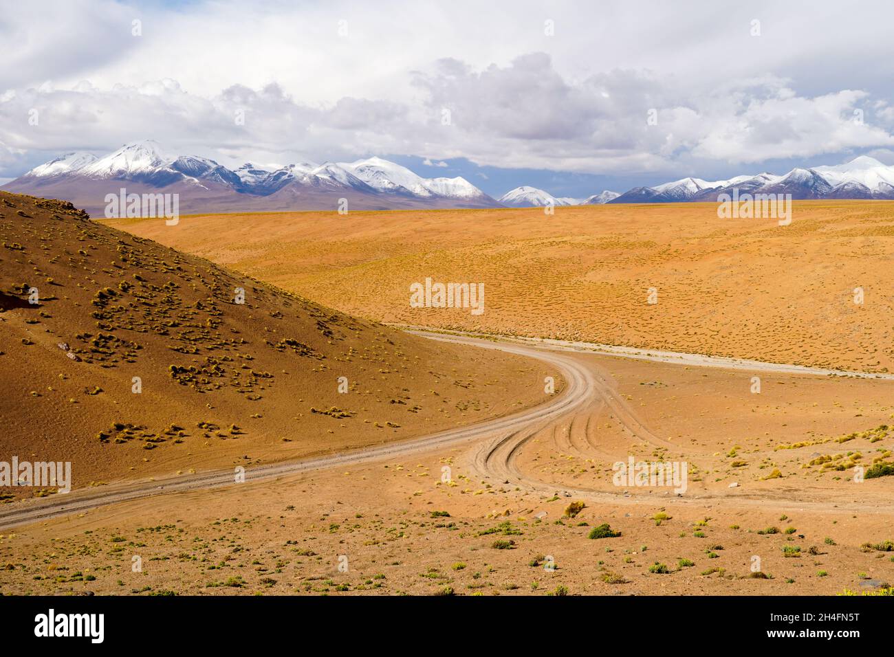Car tracks in desert in Bolivia with snow capped volcano's in the ...