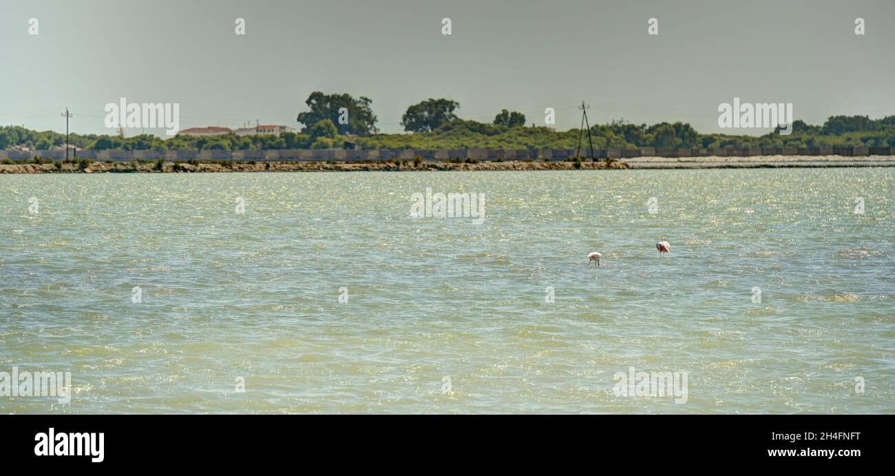 Santa Pola salt pond, Spain, HDR Image Stock Photo - Alamy