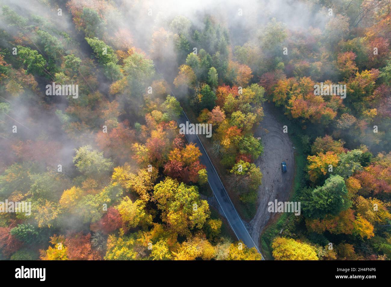 Fly through trees hi-res stock photography and images - Alamy