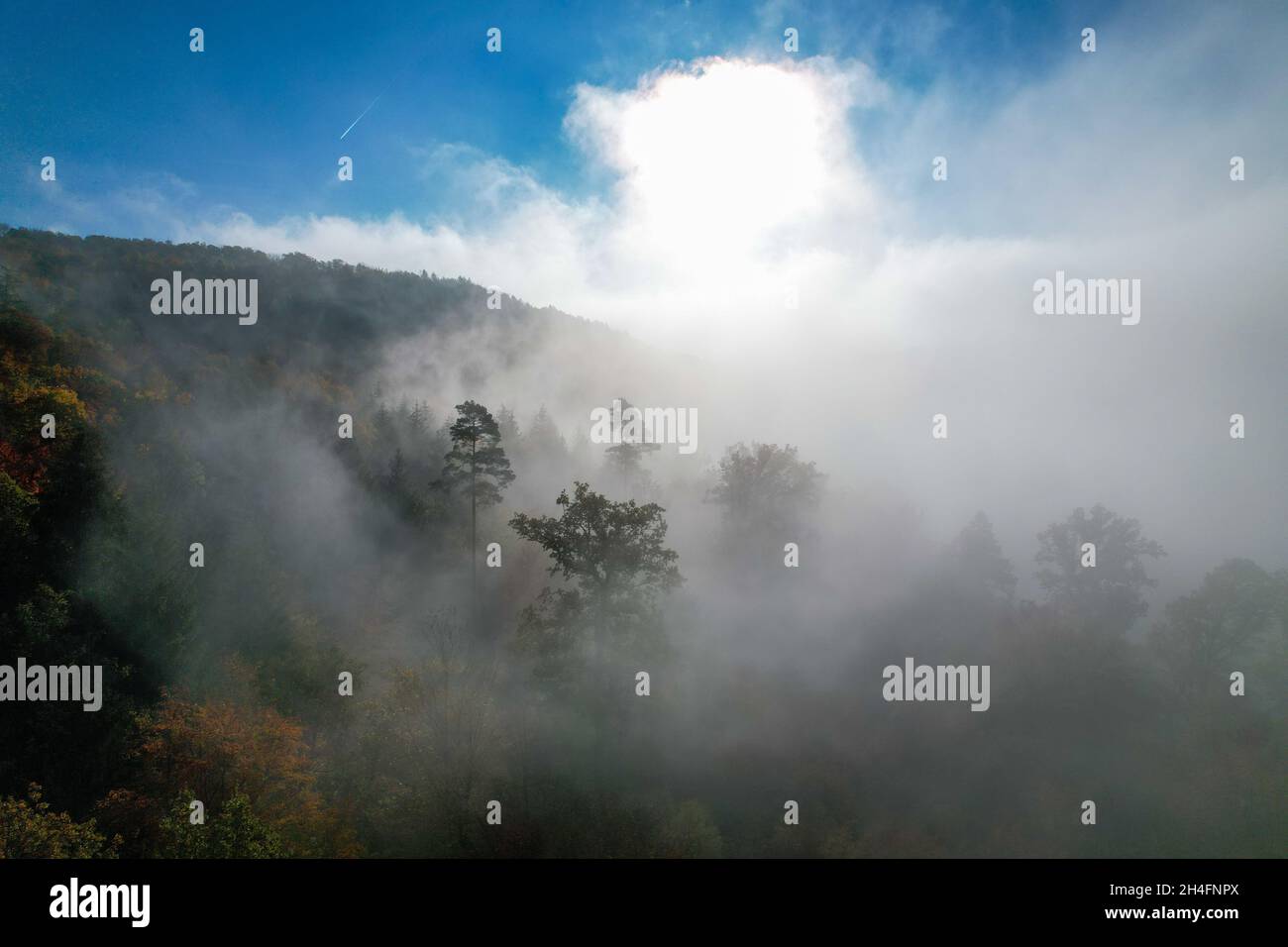 Drone flying high over forest hi-res stock photography and images - Alamy