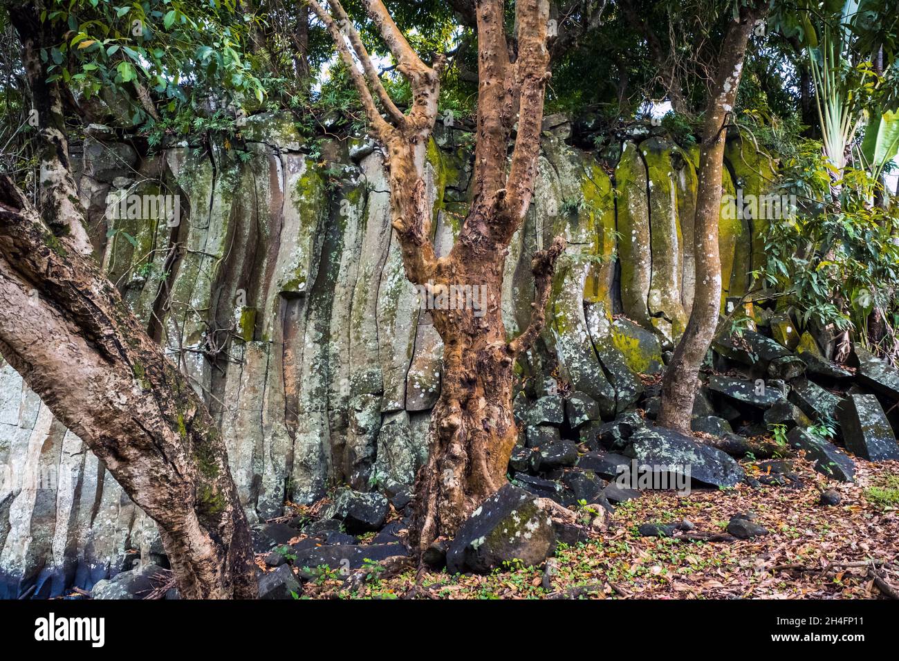 Mauritius waterfalls falls hi-res stock photography and images - Alamy