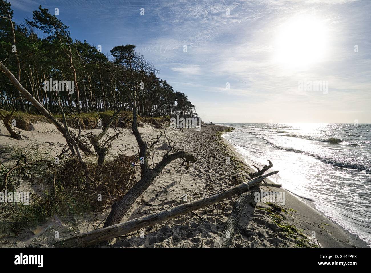 west beach on baltic sea beach. detailed and textured still life ...