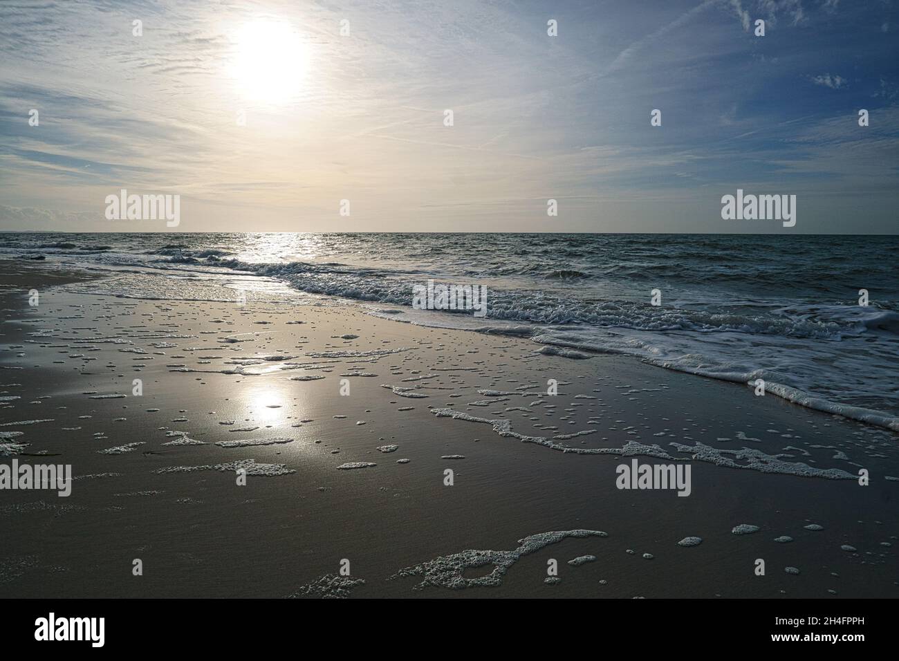 west beach on baltic sea beach. detailed and textured still life ...