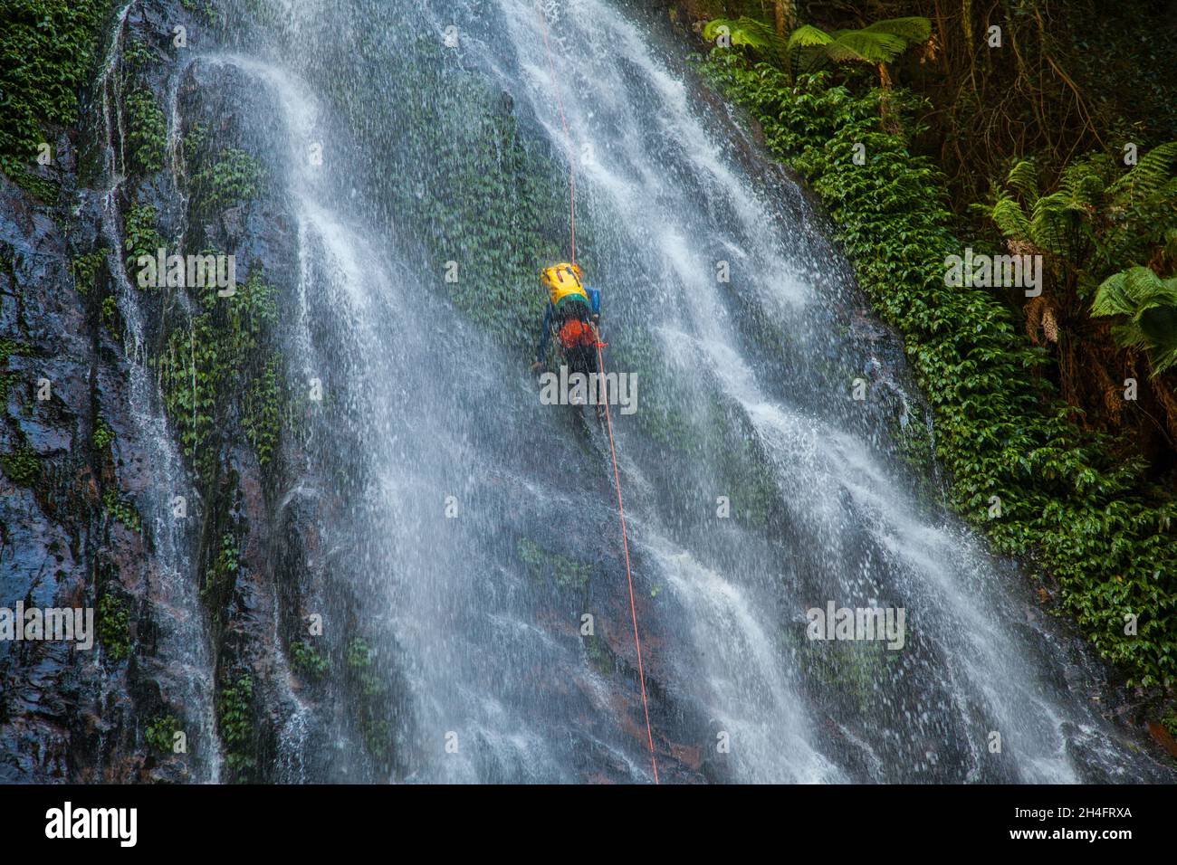 Person climbing up a waterfall in a forest Stock Photo - Alamy