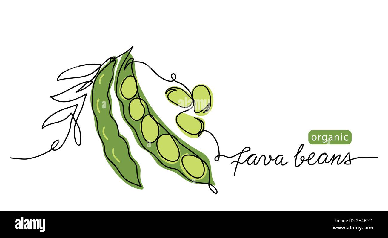 Fava beans simple color vector illustration. One continuous line art ...