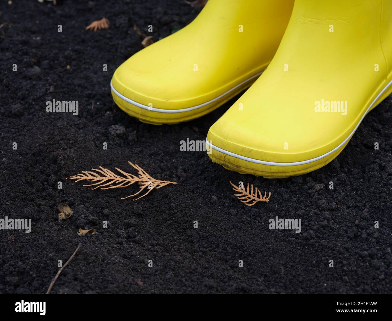 Boots on the ground hi-res stock photography and images - Alamy