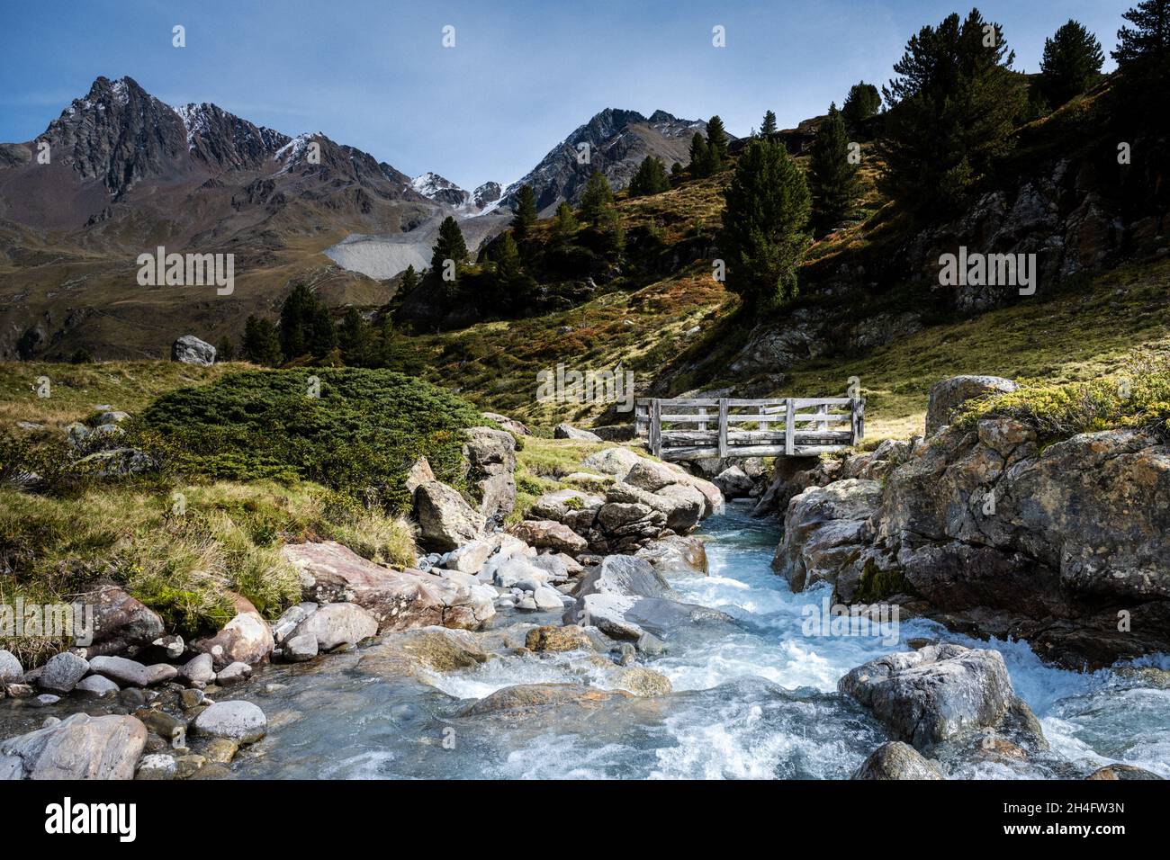 Wooden bridge moss in natural hi-res stock photography and images - Alamy