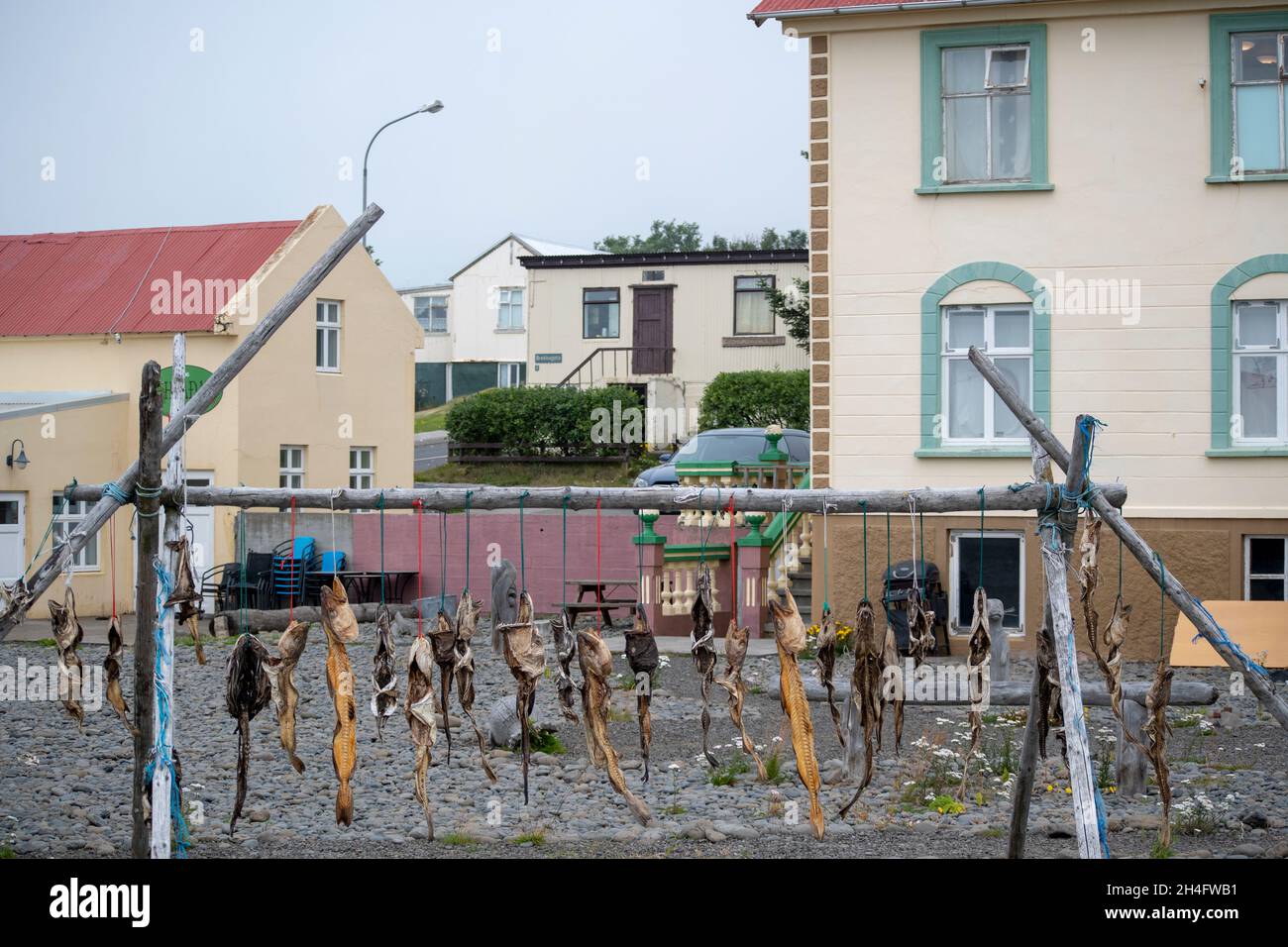 Assorted fish hanging from fish drying rack North Iceland Stock Photo ...