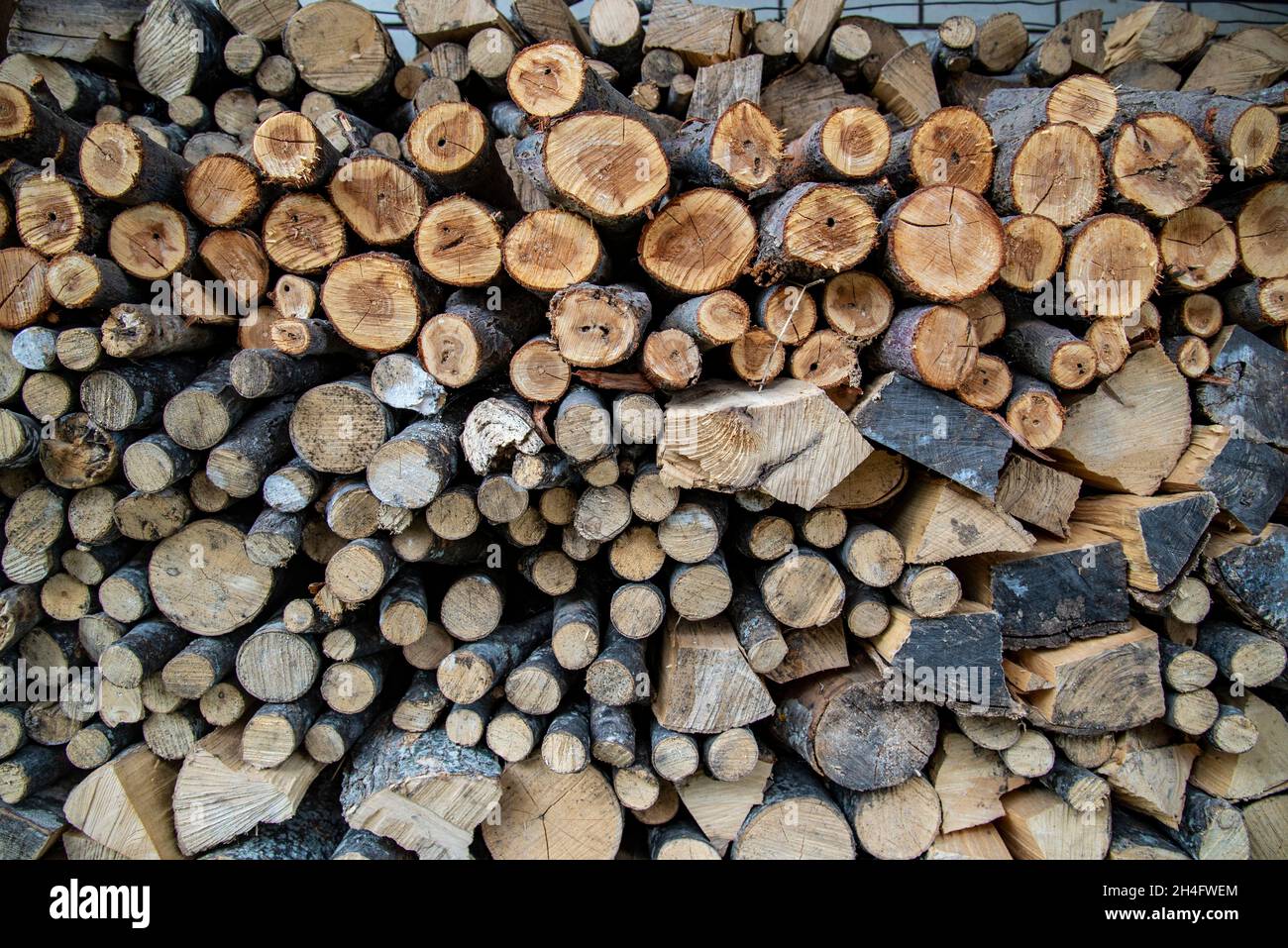 Abstract patterns of cut firewood used by local people in the high ...