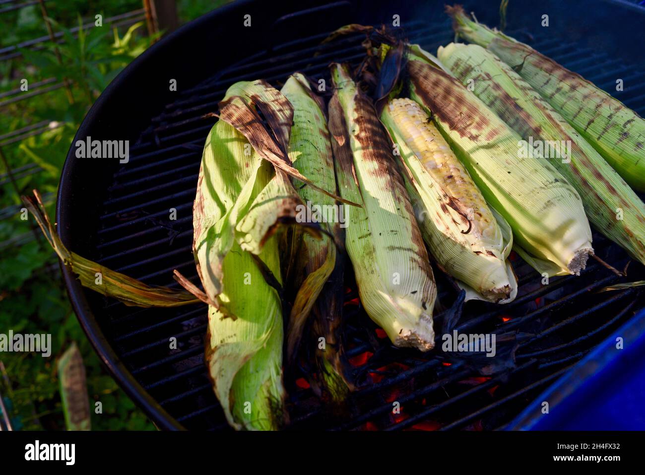 Ear of sweetcorn hi-res stock photography and images - Alamy