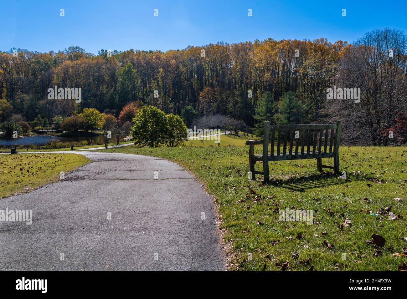 A low to the ground, wide-angle landscape photo of a park bench and ...