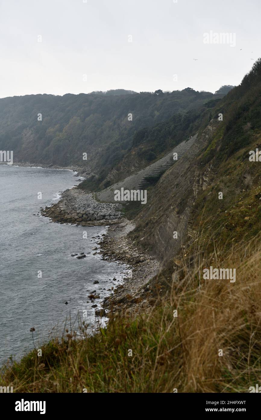 Durlston Bay with Coastline Dorset England uk Stock Photo - Alamy