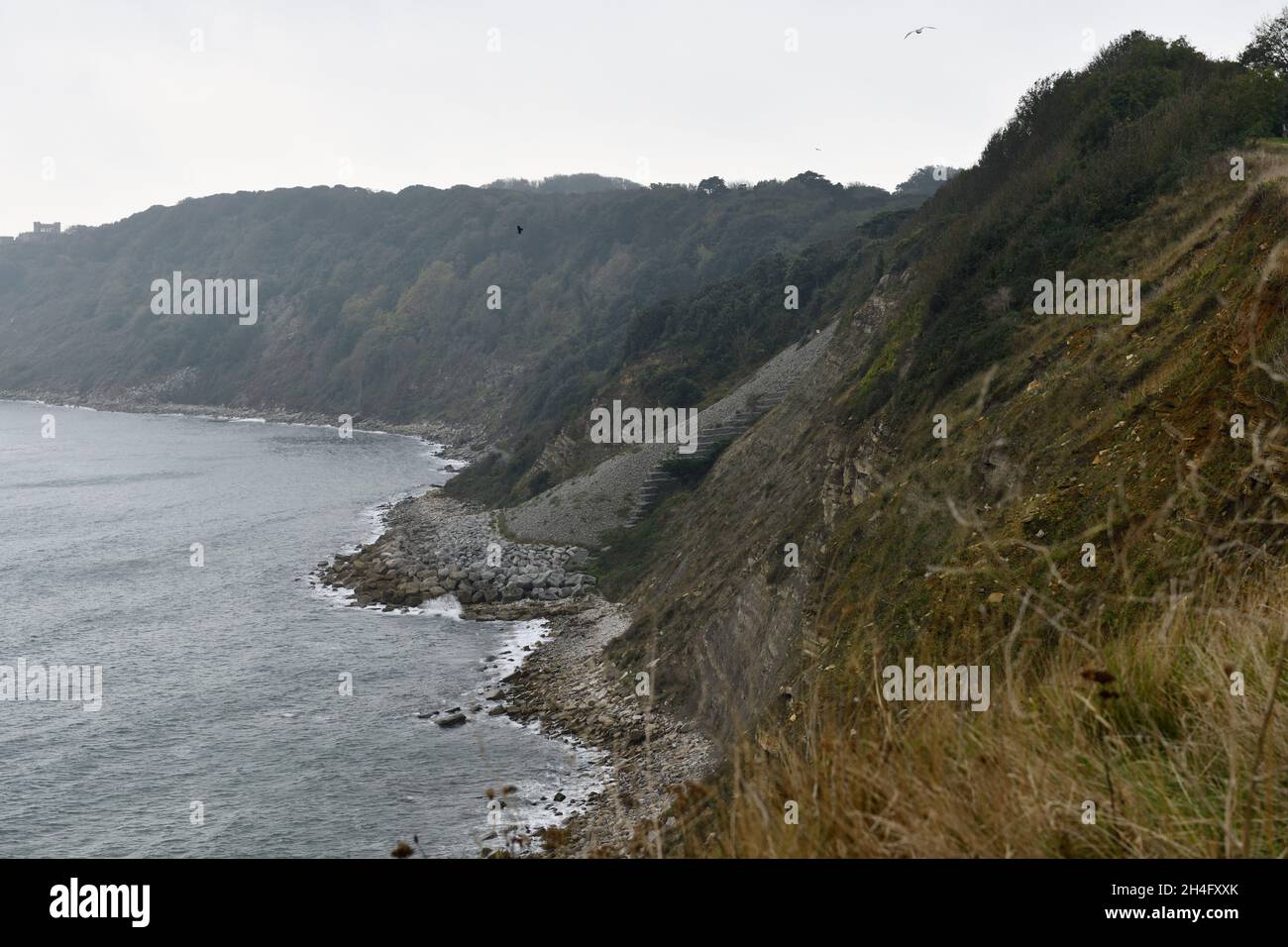 Durlston Bay with Coastline Dorset England uk Stock Photo - Alamy