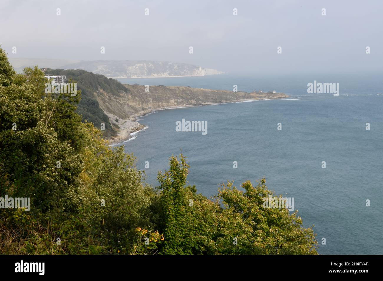 View from the South West Coast Path looking back at Durlston Bay Stock ...