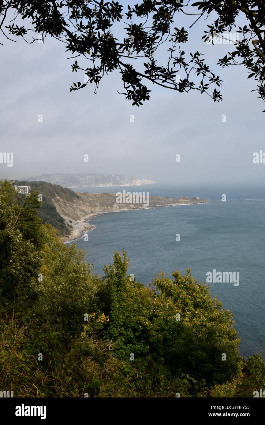 View from the South West Coast Path looking back at Durlston Bay Stock ...