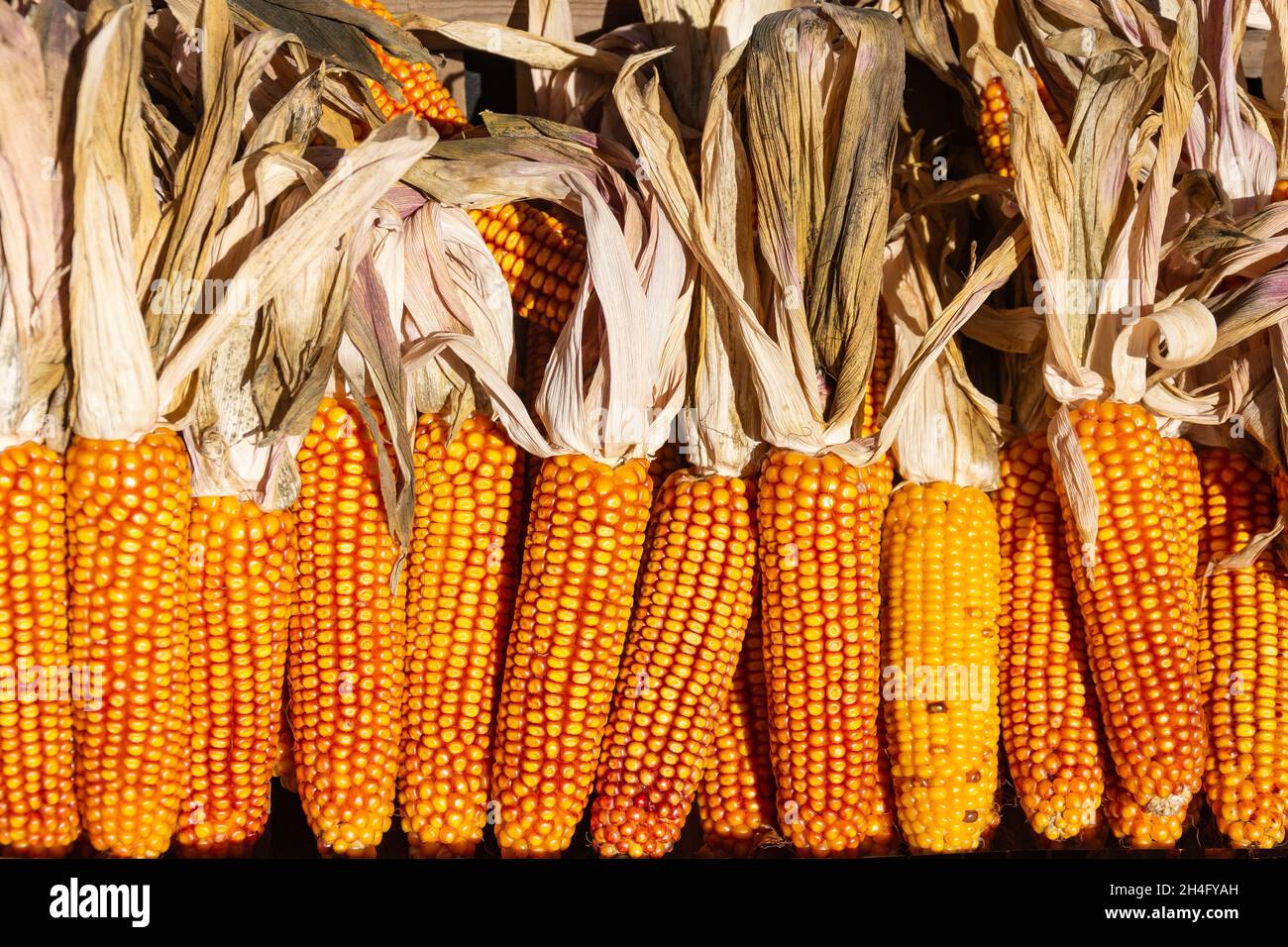 Dried corn shop display, City Centre, St Martins, City of Leicester ...