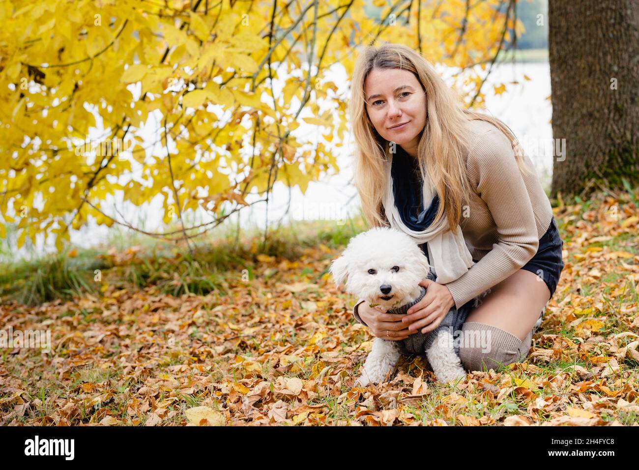 Adorable woman hugs the bichon frise dog in the park, autumn season ...