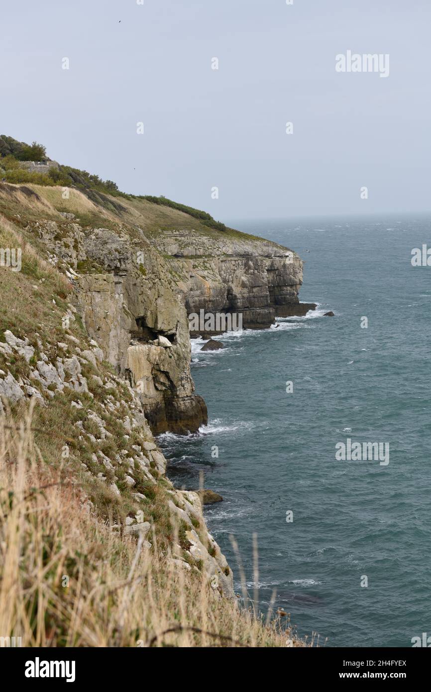 Cliffs at Durlston Country Park on the Jurassic Coast which is a World ...
