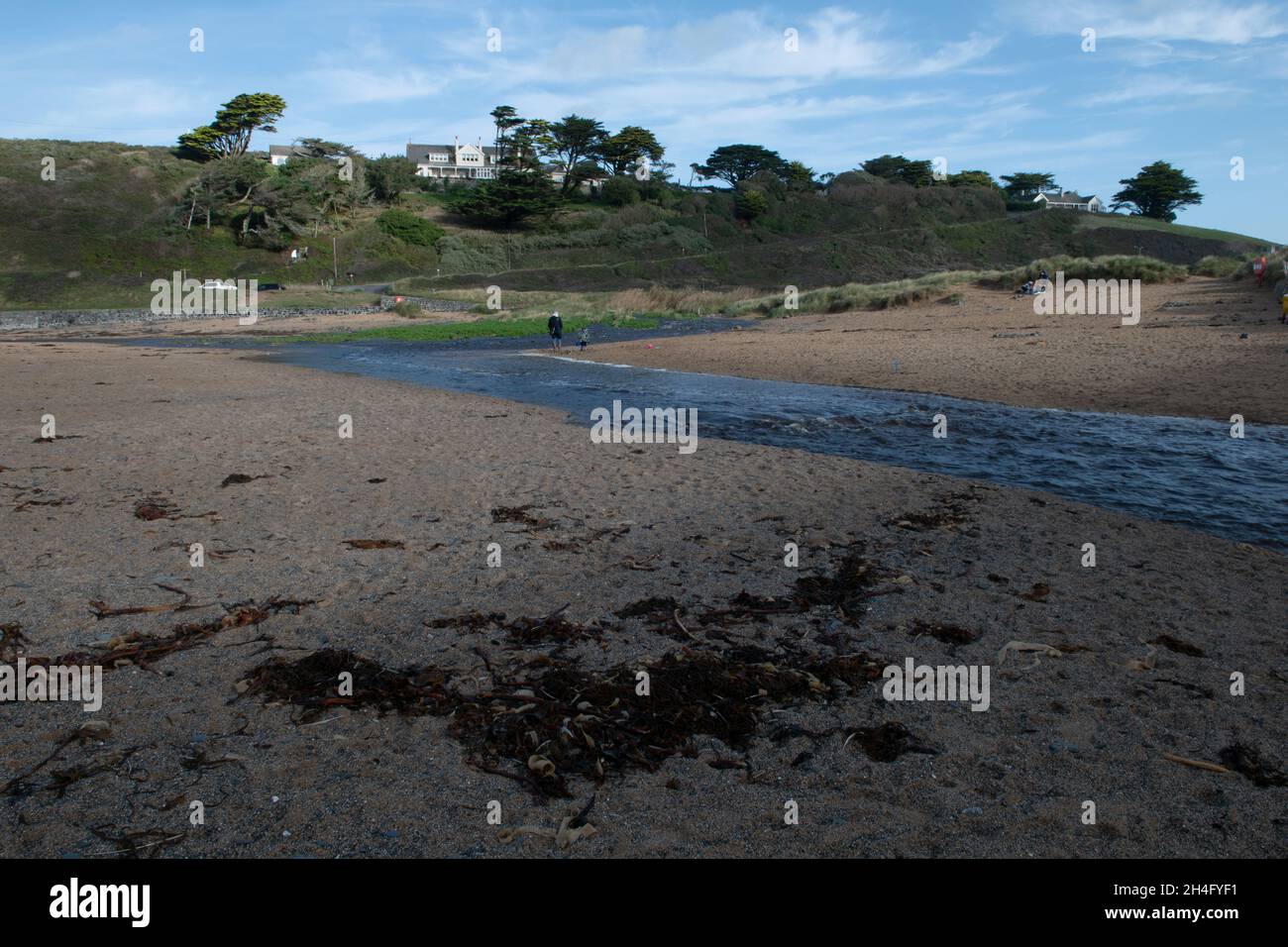 Poldhu Cove, Cornwall, UK Stock Photo - Alamy
