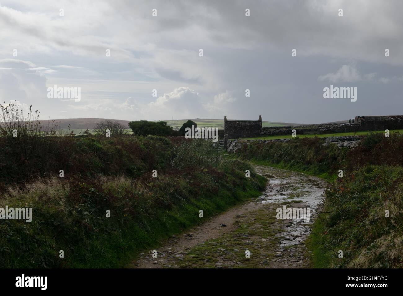 Rural track near Madron on the Penwith Peninsula, Cornwall, UK Stock ...