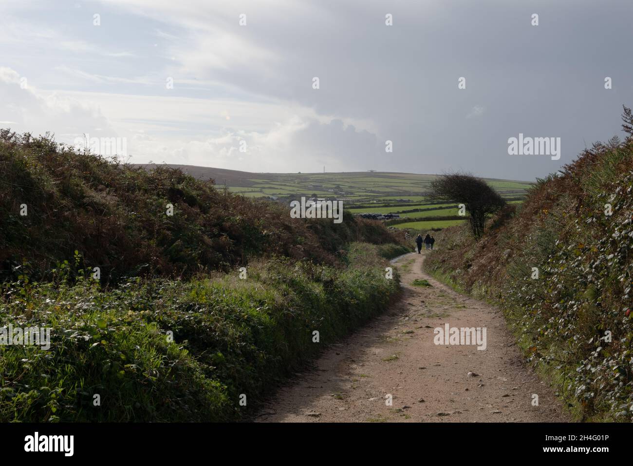 Carn downs hi-res stock photography and images - Alamy