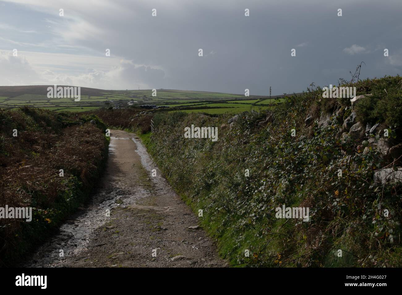 Lane on Bosullow Common, near Madron, Cornwall, UK Stock Photo - Alamy