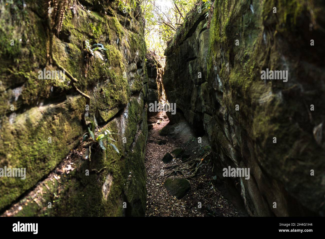 Onepoto Caves near Lake Waikaremoana. New Zealand Stock Photo - Alamy