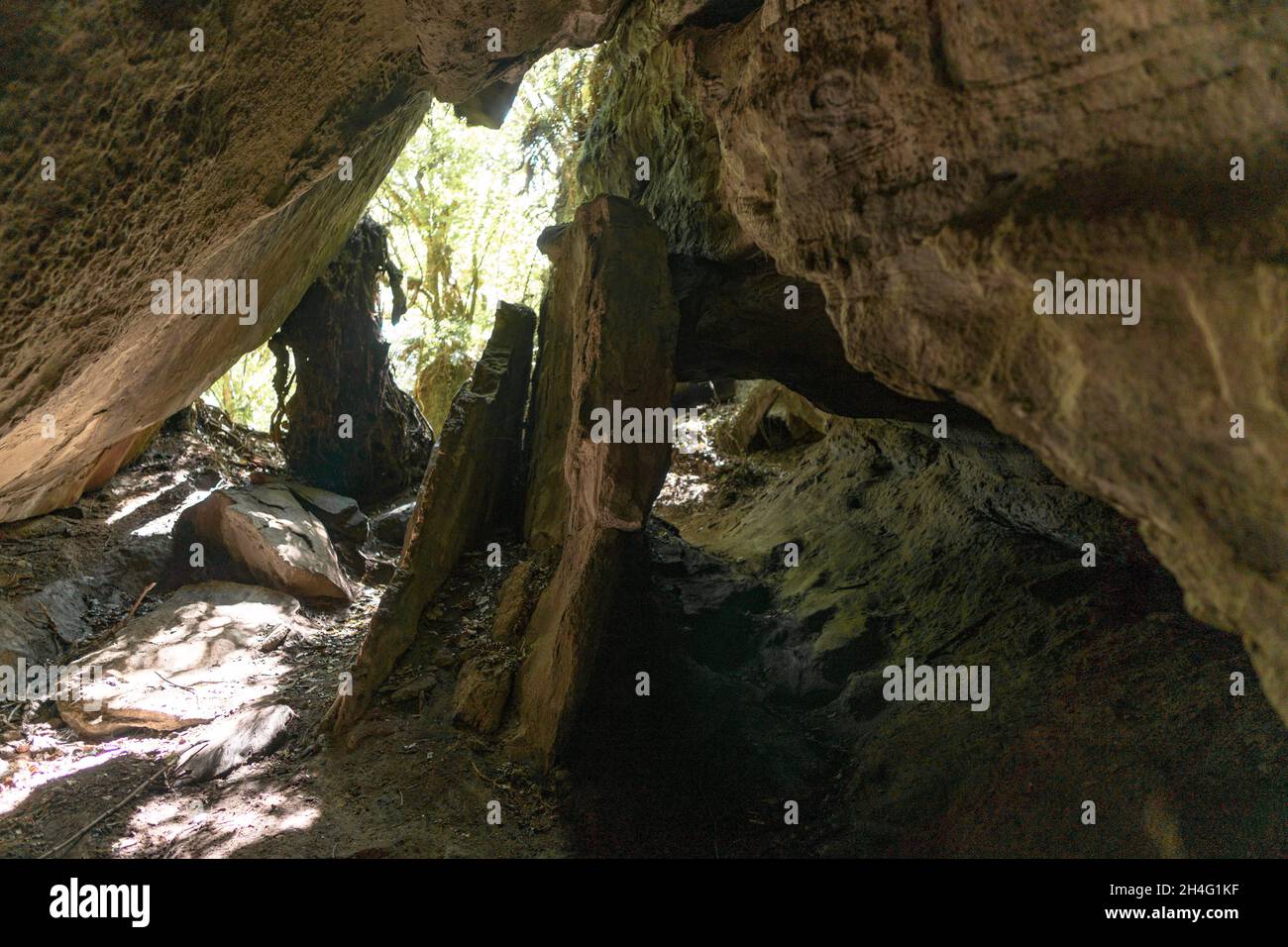 Onepoto Caves near Lake Waikaremoana. New Zealand Stock Photo - Alamy