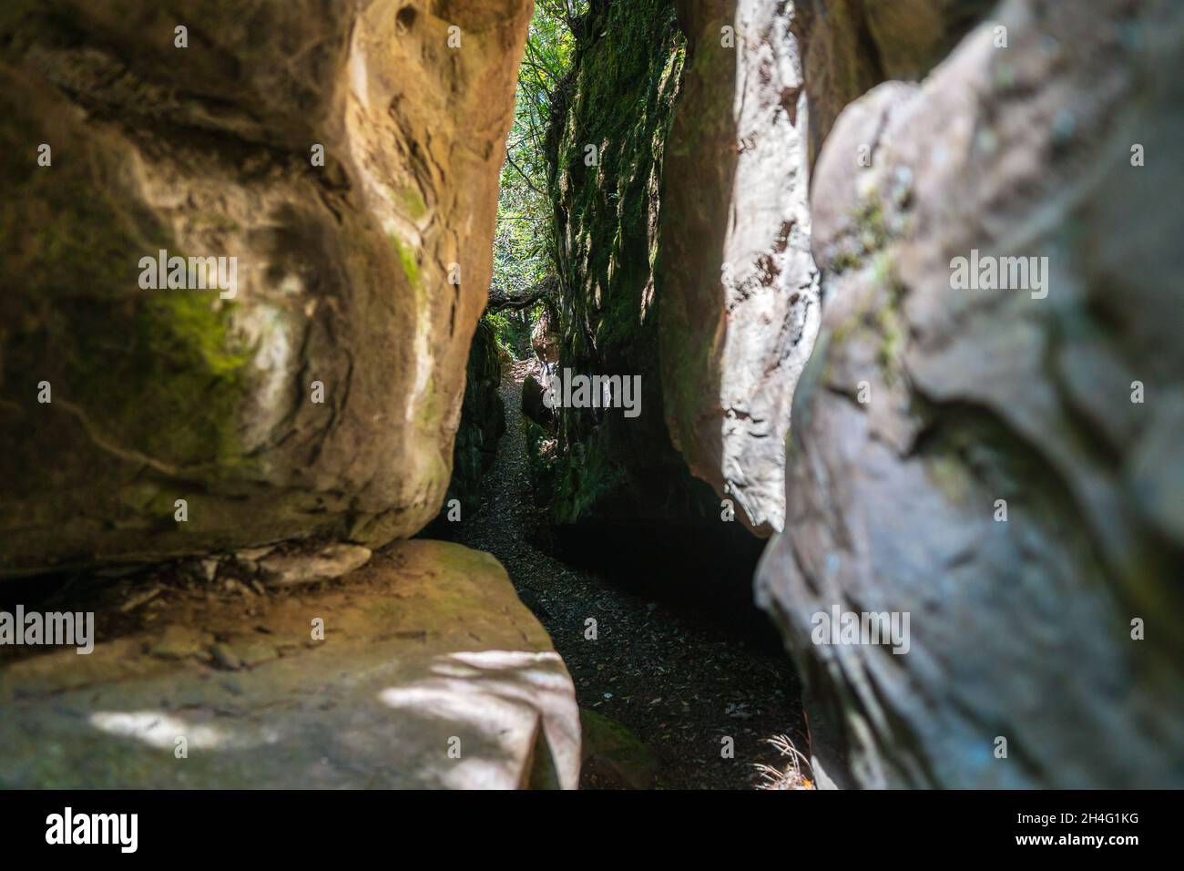 Onepoto Caves near Lake Waikaremoana. New Zealand Stock Photo - Alamy