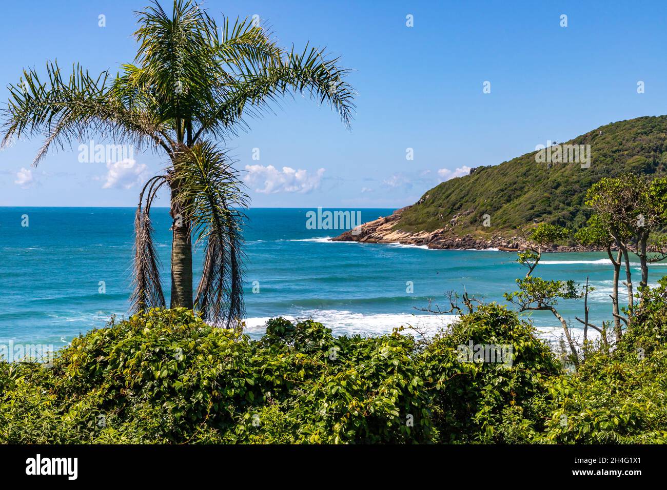 Beach view with waves and vegetation, Praia Vermelha, Imbituba, Santa ...
