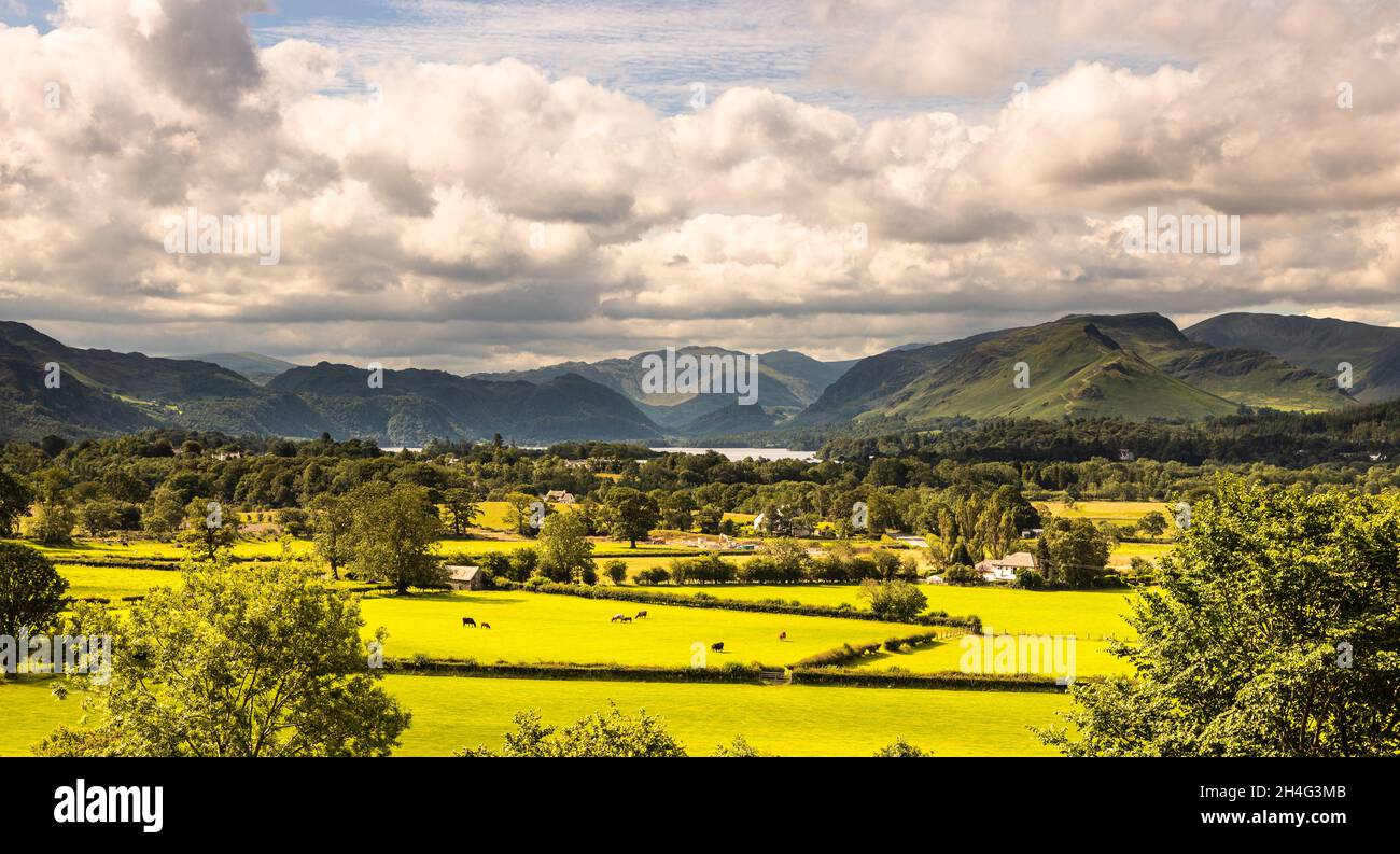 Whinlatter Forest, viewed from Applethwaite and Millbeck, Keswick, Lake ...