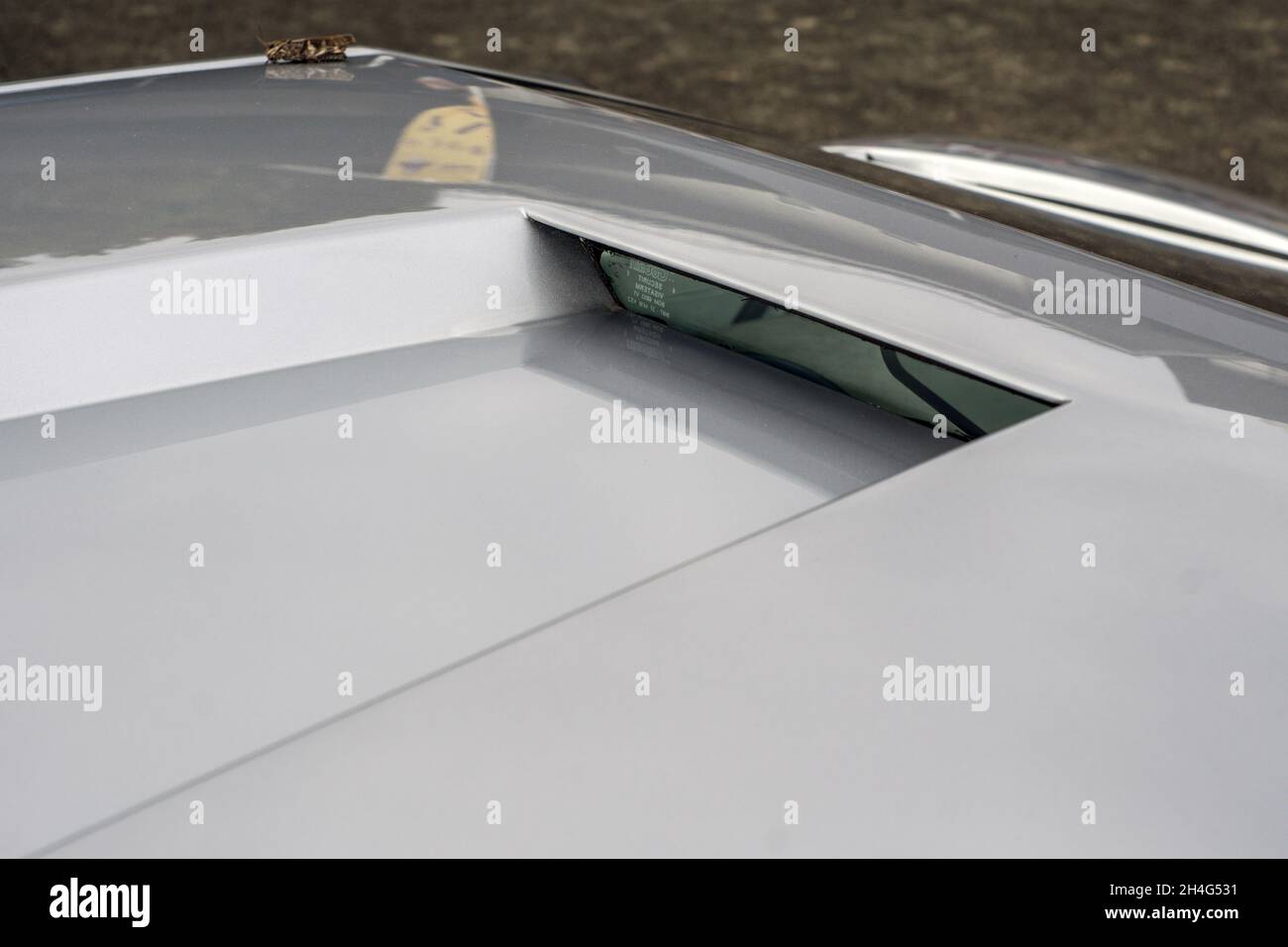 Lamborghini countach rear view hi-res stock photography and images - Alamy