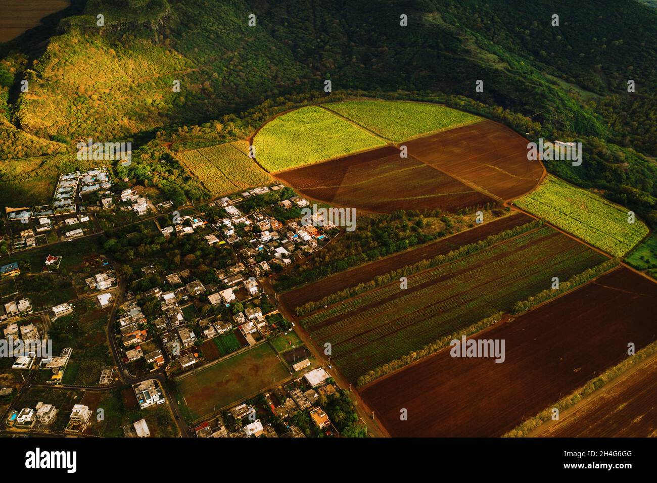 Bird's eye view of beautiful fields Islands of Mauritius and mountains ...