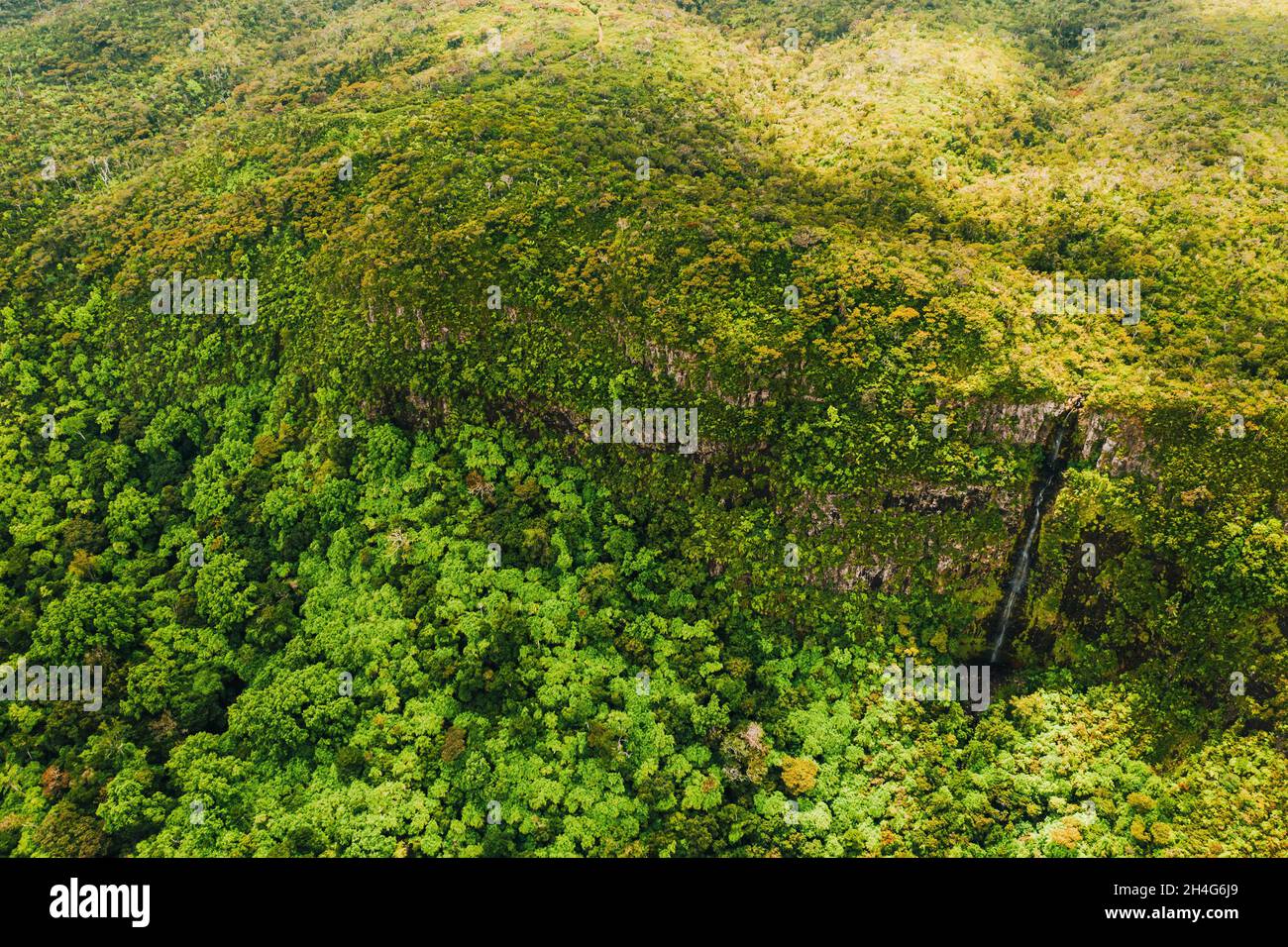 Bird's-eye view of the mountains and fields of the island of Mauritius ...