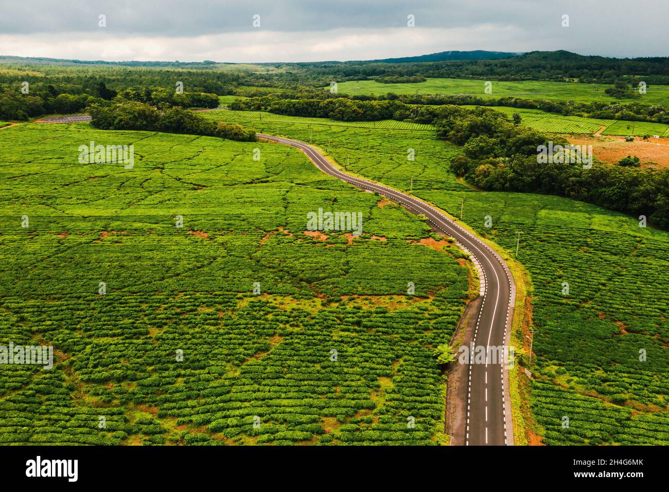 Aerial view from above of a road passing through tea plantations on the ...