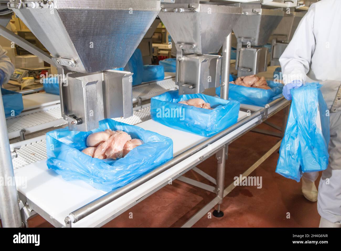 Line for the production of semi-finished meat products.Meat processing ...