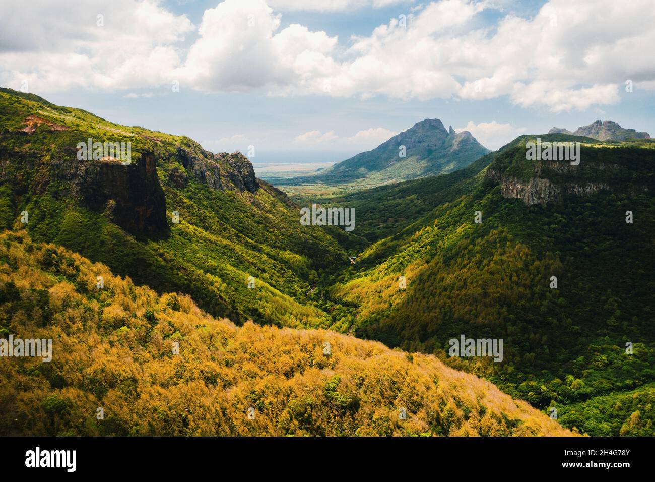 Mountain Landscape of the gorge on the island of Mauritius, Green ...