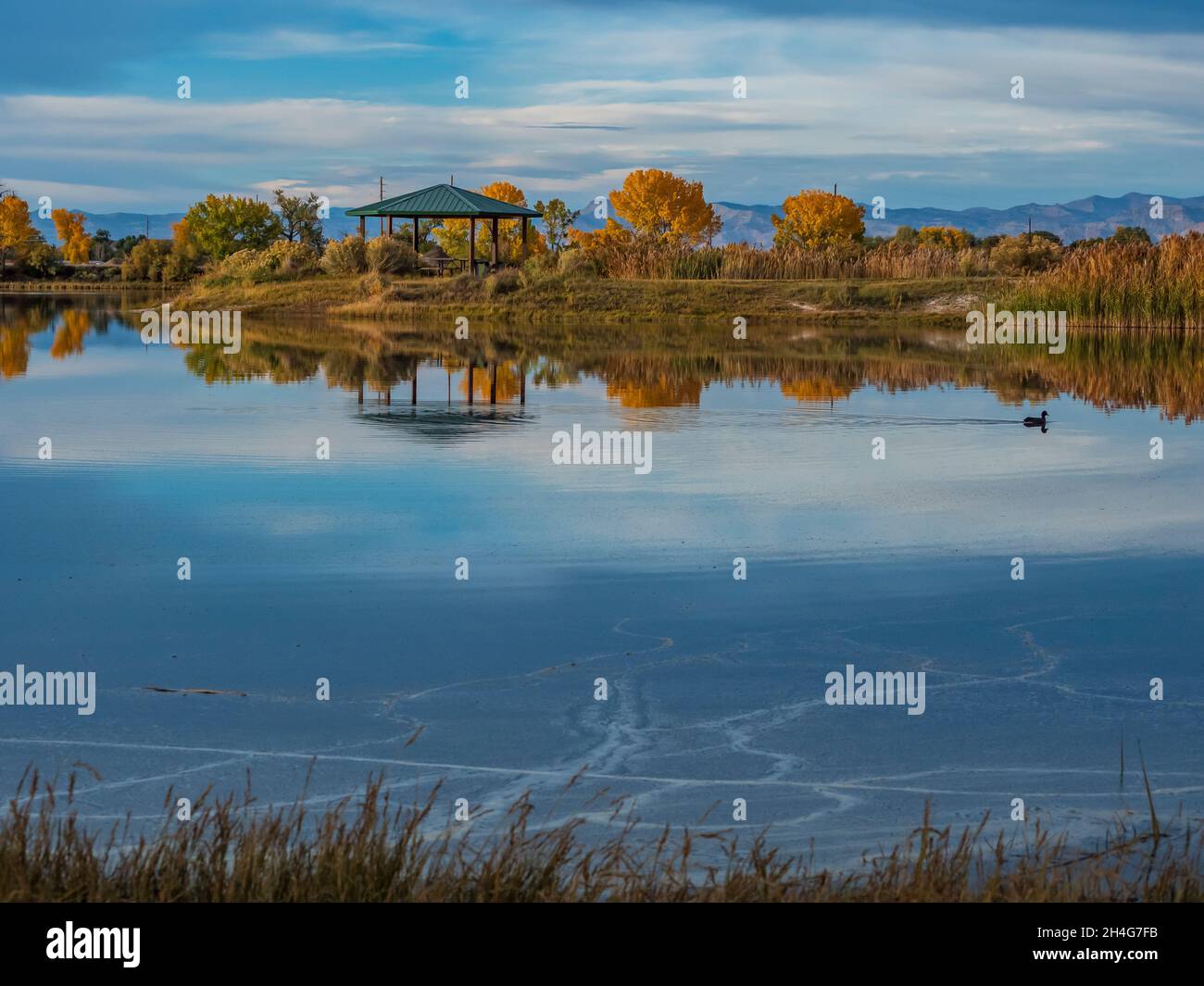 Autumn color around a pond, James M. Robb Colorado River State Park ...