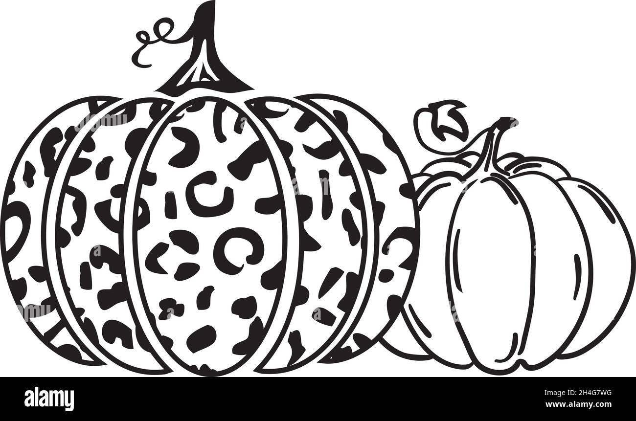 vector leopard pumpkin, pumpkins, fall background Stock Vector Image ...
